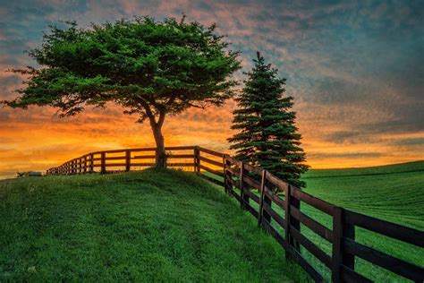 Summer Landscape Wallpapers 4k Hd Backgrounds On Wallpaperbat