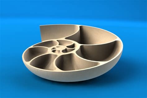 Freelance Nautilus Shell Cad Model By Lilia Subkhankulova At