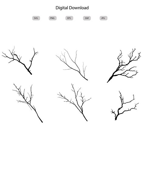 Tree Branch Svg Tree Branch Silhouette Tree Branch Svg Bundle Tree