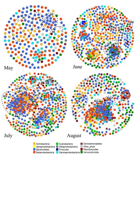 Network Analysis And Visualization Of Bacterial Co Occurrence Patterns