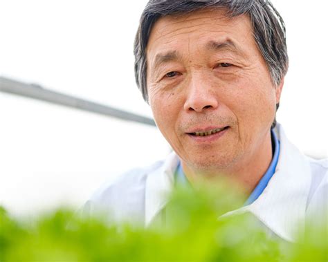 Enhancing Spinach Yields With Beneficial Bacteria Institute For