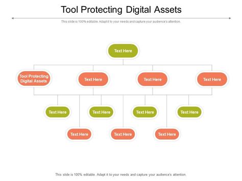 Tool Protecting Digital Assets Ppt Powerpoint Presentation Slides Ideas Cpb Presentation
