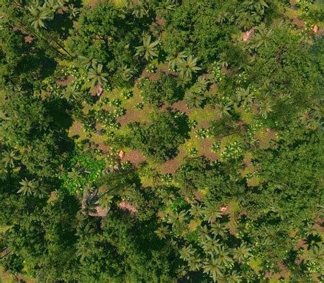 Flowscape Tropical Jungle R Battlemaps
