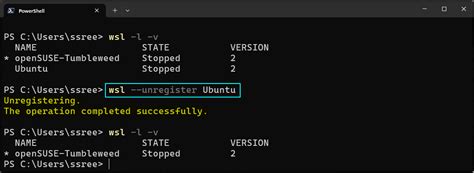 How To Remove A Wsl Distribution