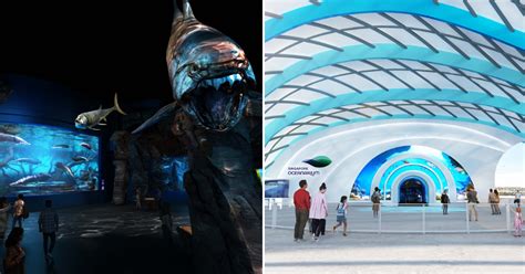 Spore Oceanarium In Sentosa To Open On Jul 23 2025 Mothershipsg