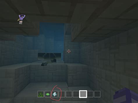 Breeding Turtles Rminecraft