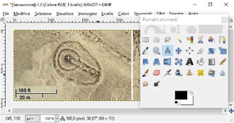 In Gimp Select The Pair Of Compasses Icon You Can Measure The
