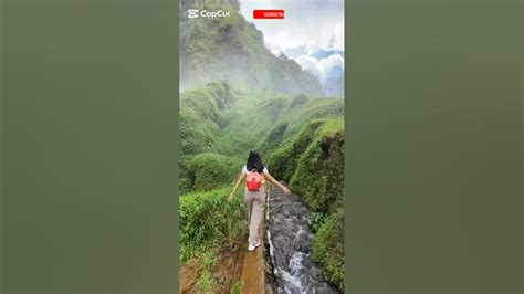 හිත නිවන කොළ පාට ස්භාදහම භාවනාවක් 🌲🌿🌱 Youtube