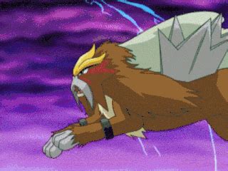 Festa Dura  Pokemon
