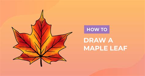 How To Draw A Maple Leaf Design School