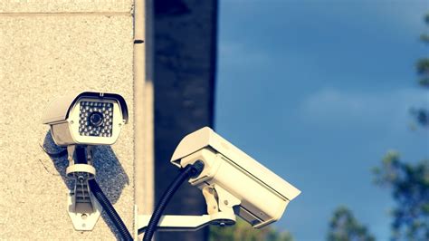 Nsw Health Commits Most ‘damaging Case Of Political Correctness In The