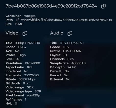 No Sound When Dts Audio Transcoding · Issue 983 · Jellyfinjellyfin