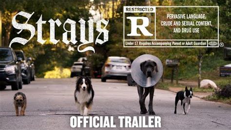Strays Trailer Will Forte And Will Ferrell Team Up In A Nsfw Dog