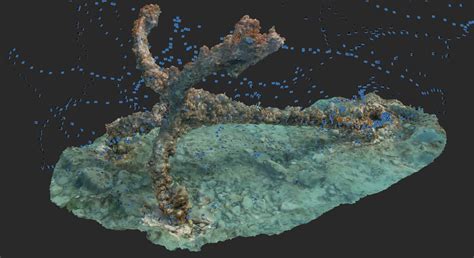 How To Get Started With Underwater Photogrammetry Seamagination