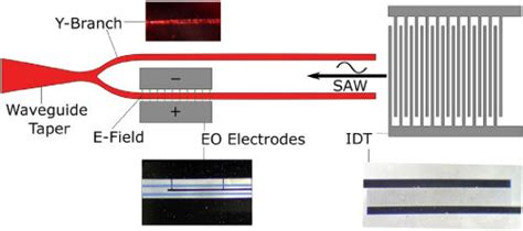 Structure Of The Simple AO EO Deflector That Was Fabricated In X Cut