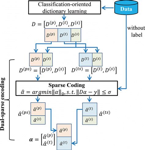 Construction Of The Discriminative Sparse Coefficient Matrix D