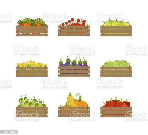 농장 야채와 나무 상자 유기농 식품 당근 토마토 후추 옥수수 가지 농민 시장 디자인 요소 벡터 일러스트 레이 션 농장에 대한