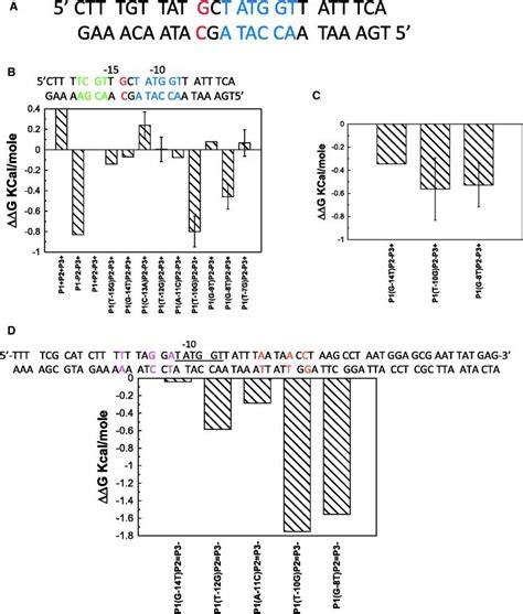 Effect Of Single Base Pair Substitution On Galp1 Promoter A Sequence Download Scientific