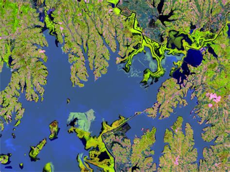 Using Raster Data And Imagery In Arcgis Pro