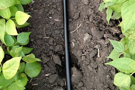 Nutradrip Subsurface Drip Irrigation