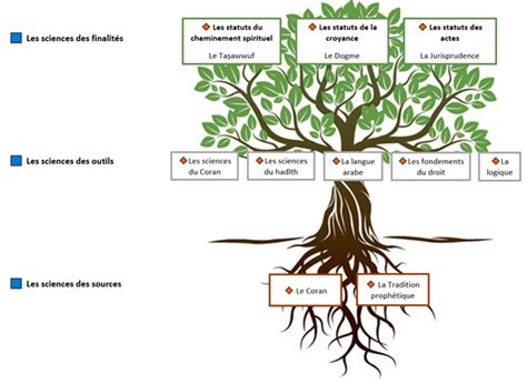 La Classification Des Sciences Religieuses Shaykh Muhammad Mehanna