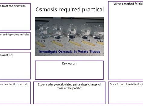 Aqa Gcse Biology Required Practical Revision Sheets Teaching Resources