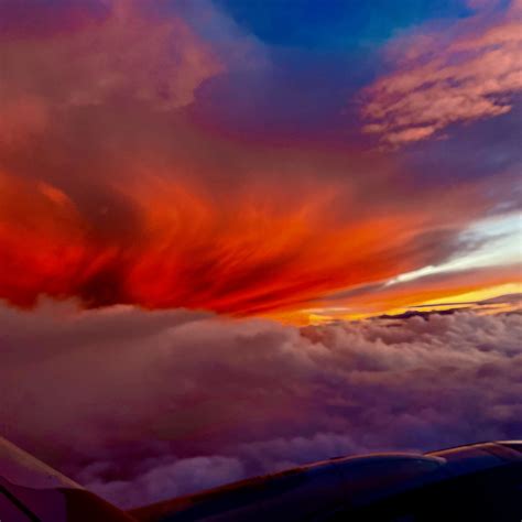 David Van Wingerden Polygence