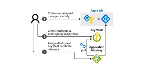 Automate Ssl Certificate Renewal And Assignment With No User