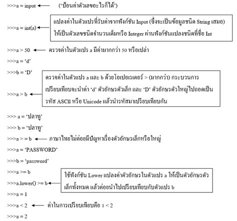 การตรวจสอบเงอนไข