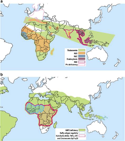 Geographical Distribution Of Hemoglobin Inherited Disorders Download Scientific Diagram