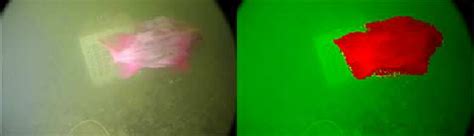 Figure 3 From Under Water Objects Detection And Classification Using Deep Learning Technique