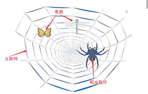 1python爬虫 Urllib爬虫python入门教程 Csdn博客