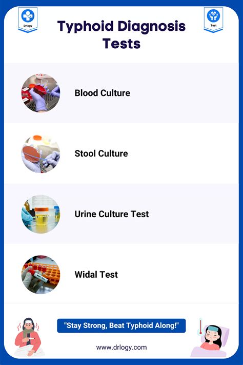 4 Best Typhoid Fever Diagnosis Test For Better Health Drlogy