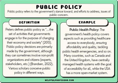 10 Public Policy Examples 2025