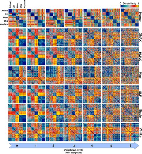 Frontiers Feedforward Object Vision Models Only Tolerate Small Image Variations Compared To Human