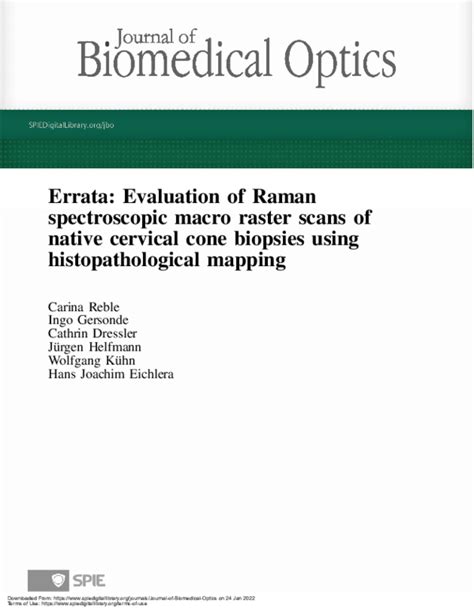 Pdf Errata Evaluation Of Raman Spectroscopic Macro Raster Scans Of