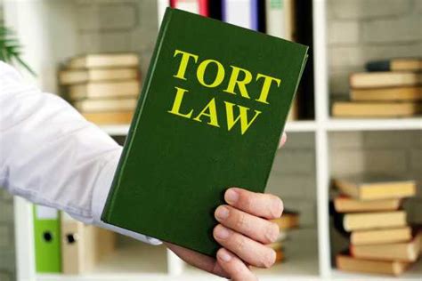 General Principles Of Liability In Tort