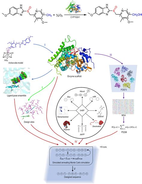 Unidesign Workflow For Computational Enzyme Design A Hydroxylation Of Download Scientific