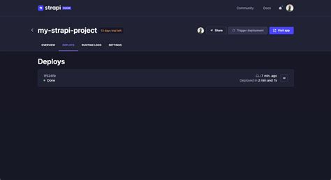 Quick Start Guide Strapi Developer Docs Strapi 中文文档 Strapi中文网