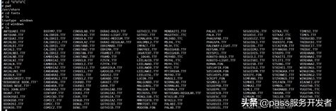 如何在docker容器中添加window字体解决pdf转图片中文乱码 正数办公
