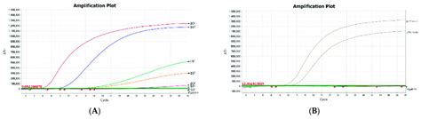 Sensitivity And Specificity Analysis Of The Raa Assay For Meca A The Download Scientific
