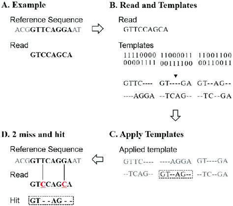 Maq Reference Sequence Template Generation And Construction Of A Hash Download Scientific