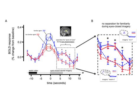 Middle Cingulate Cortex Differentiates Perspective Taking Responses