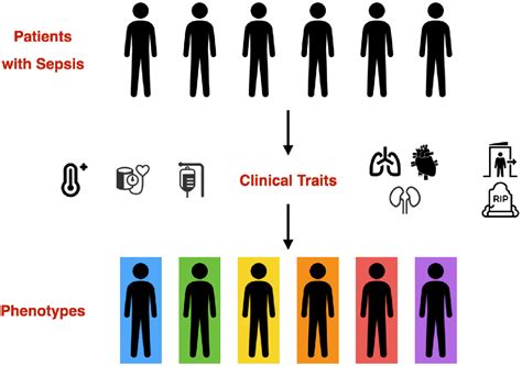 Figure 1 From Clinical Sepsis Phenotypes In Critically Ill Patients