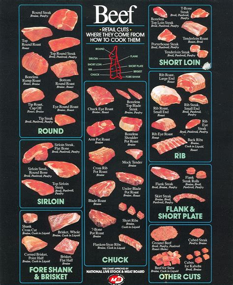 Cuts Of Beef Cow Diagram