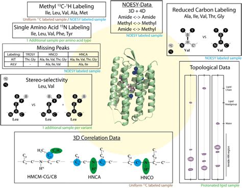 Overview Of The Seven Types Of Input Data That Were Used In The