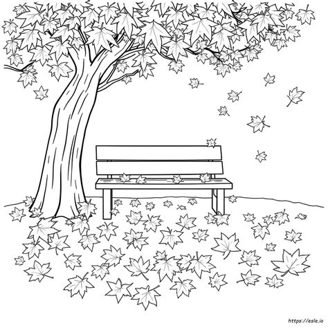 Maple Leaf For Coloring