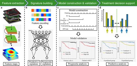 Deep Learning Radiomics Workflow A Extracting Deep Radiomic Features Download Scientific