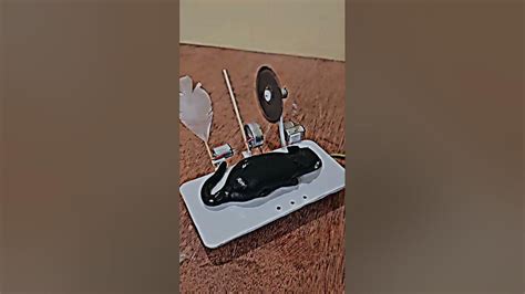 Mouse Really Cooked 💀 Youtube