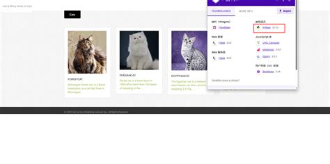 【愚公系列】2023年05月 攻防世界 Web（catcat New） Csdn博客